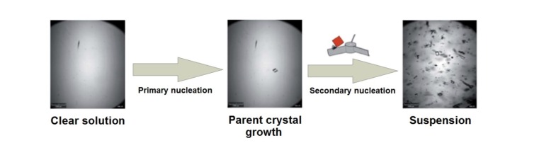 The influence of crystallization kinetics on your process | Webinar