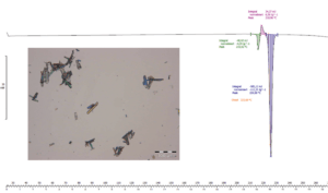In-situ crystallization monitoring with Crystalline RR and Raman ...