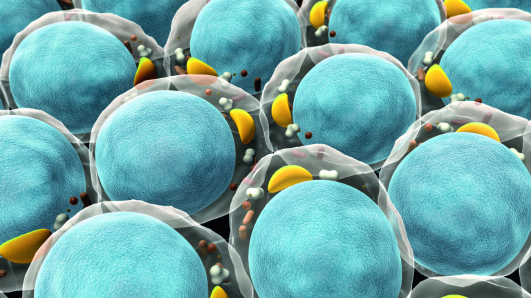 Stability of Protein Formulations and Their Importance - Technobis ...