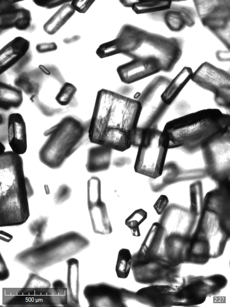 Process development - Technobis Crystallization Systems