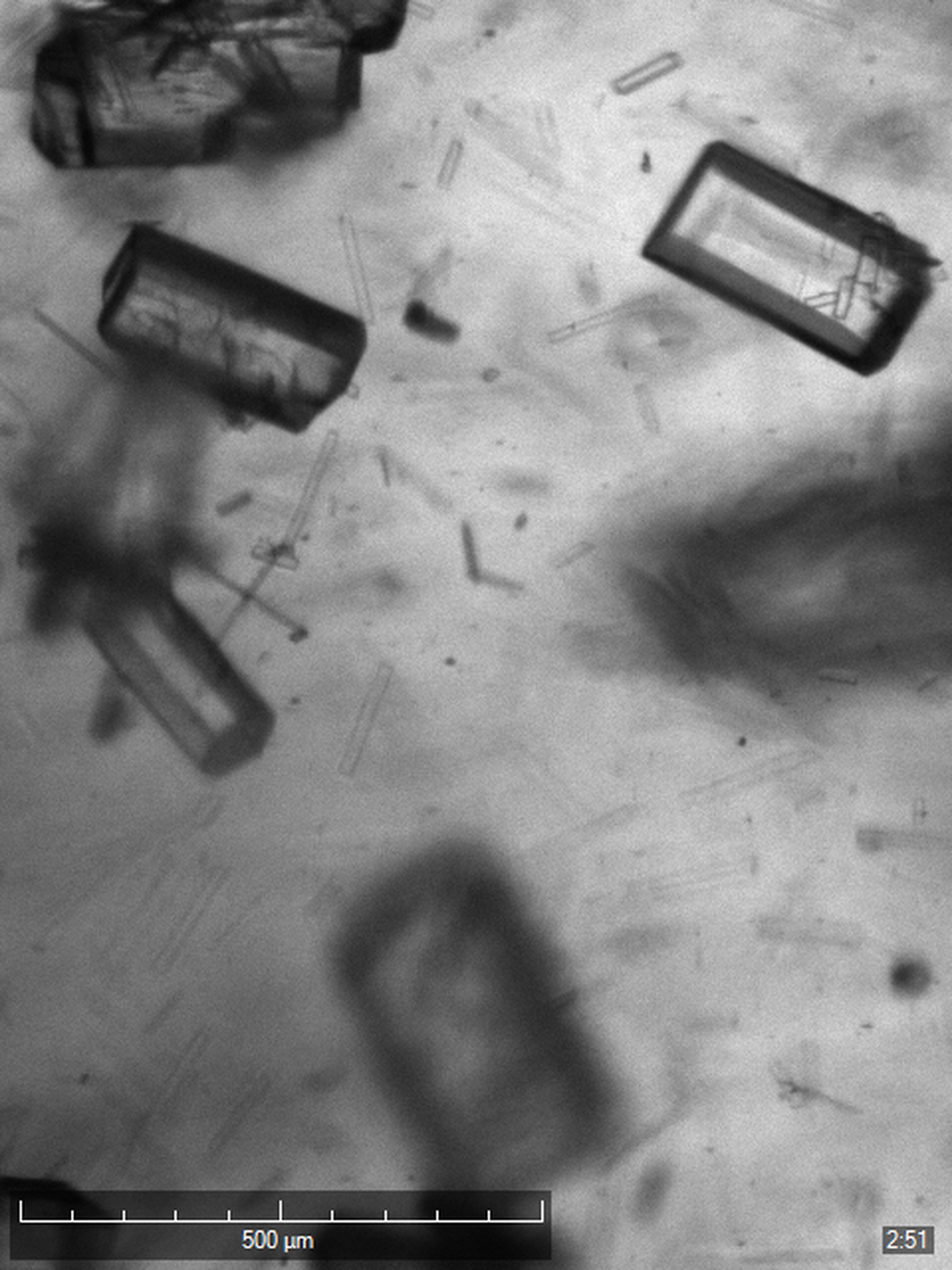 Crystallization screening with the Crystallization Systems Workflow - Technobis Crystallization ...