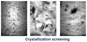 Crystallization screening with the Crystallization Systems Workflow - Technobis Crystallization ...