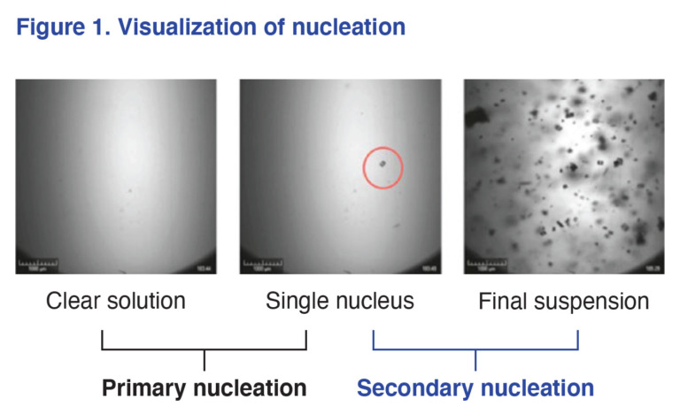 Understand seeding through secondary nucleation measurements with the ...