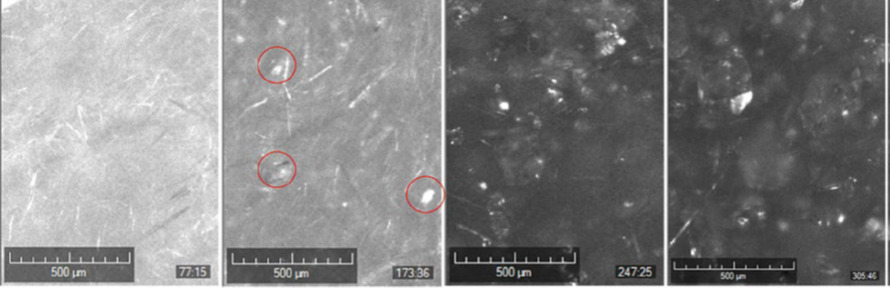 Tracking polymorph and morphology in real time - Technobis ...