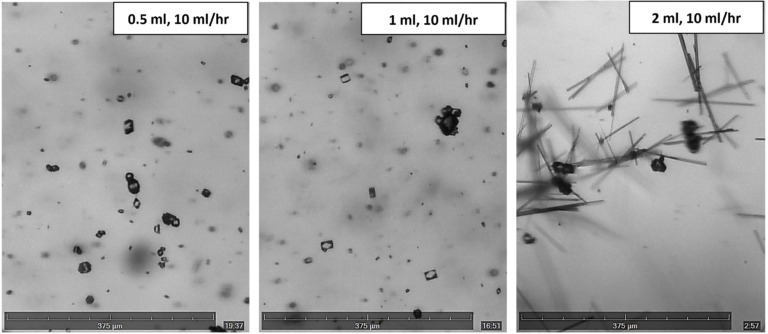Anti-solvent crystallization: witness the polymorphic transformation ...
