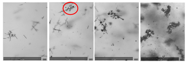 Anti-solvent crystallization: witness the polymorphic transformation ...