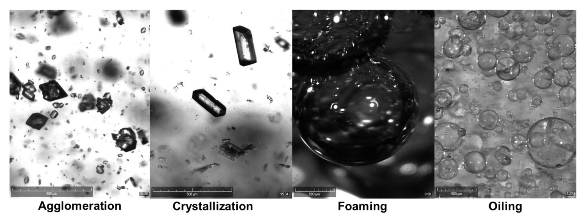 Capture the complex behavior of your formulation at small scale ...