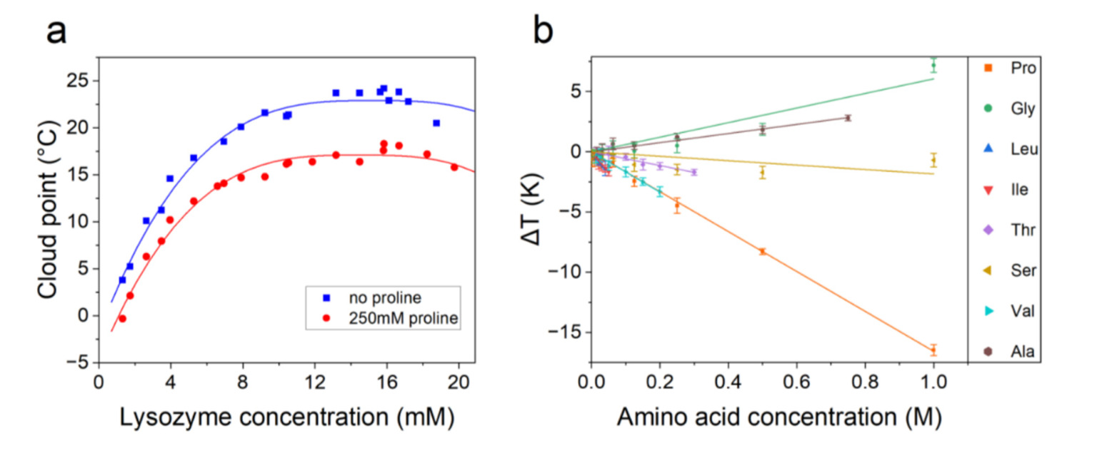 Amino Acids Stabilizing Effect on Protein and Colloidal Dispersions ...