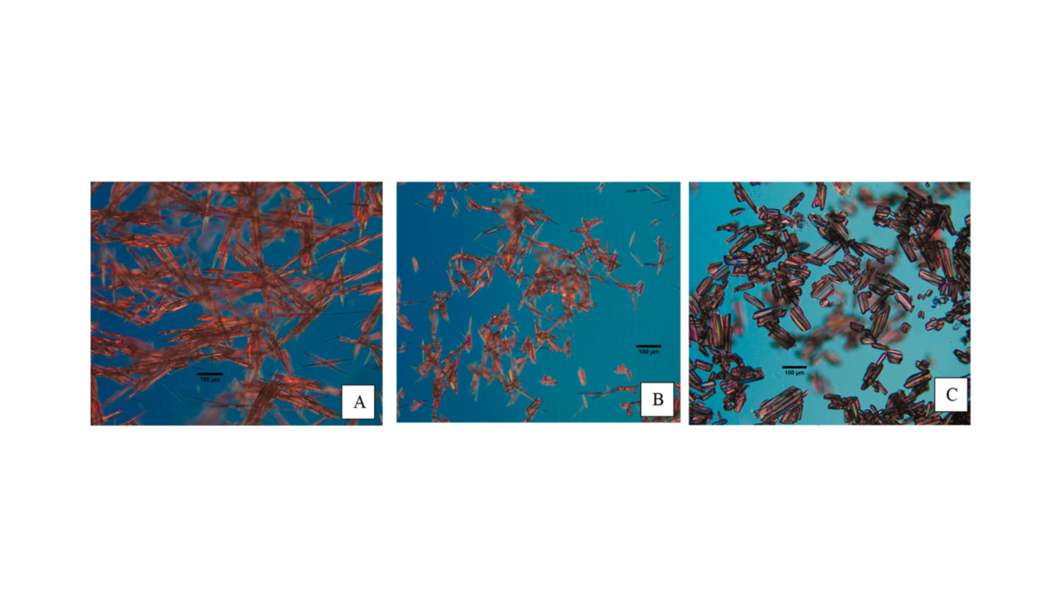 ReactALL - Technobis Crystallization Systems