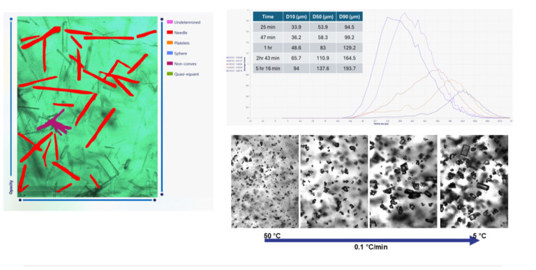 Particle size distribution analysis using real time AI detection ...
