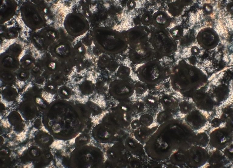 A crystal engineering approach to tailor functional properties of food ...