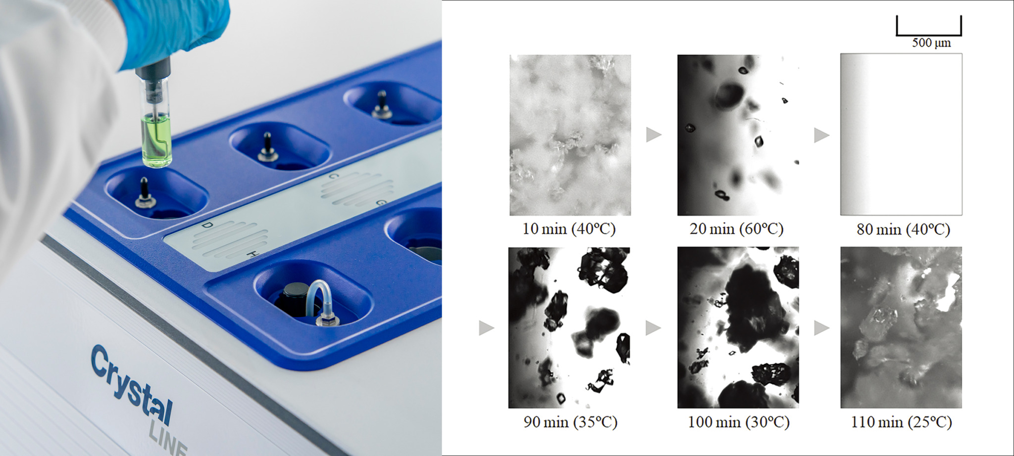 In-situ monitoring of carbamazepine crystallization using Raman spectroscopy - Technobis ...